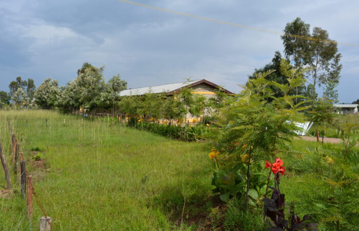 Wolaitta Liqa School - wolaitta development association